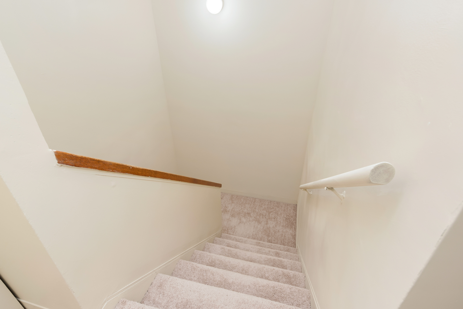 Gallery - Neighborhood Commons Cooperative